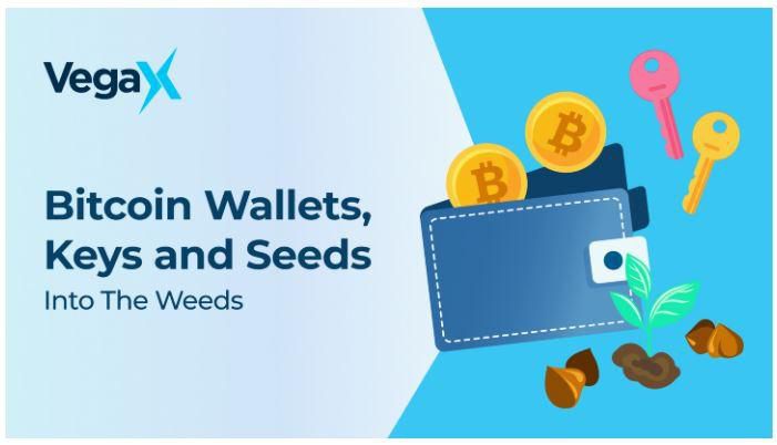 비트코인(BTC) 지갑(wallet), 키(Keys), 시드(Seeds) 활용과 보안 - VegaX 연구 보고서 - maybugs