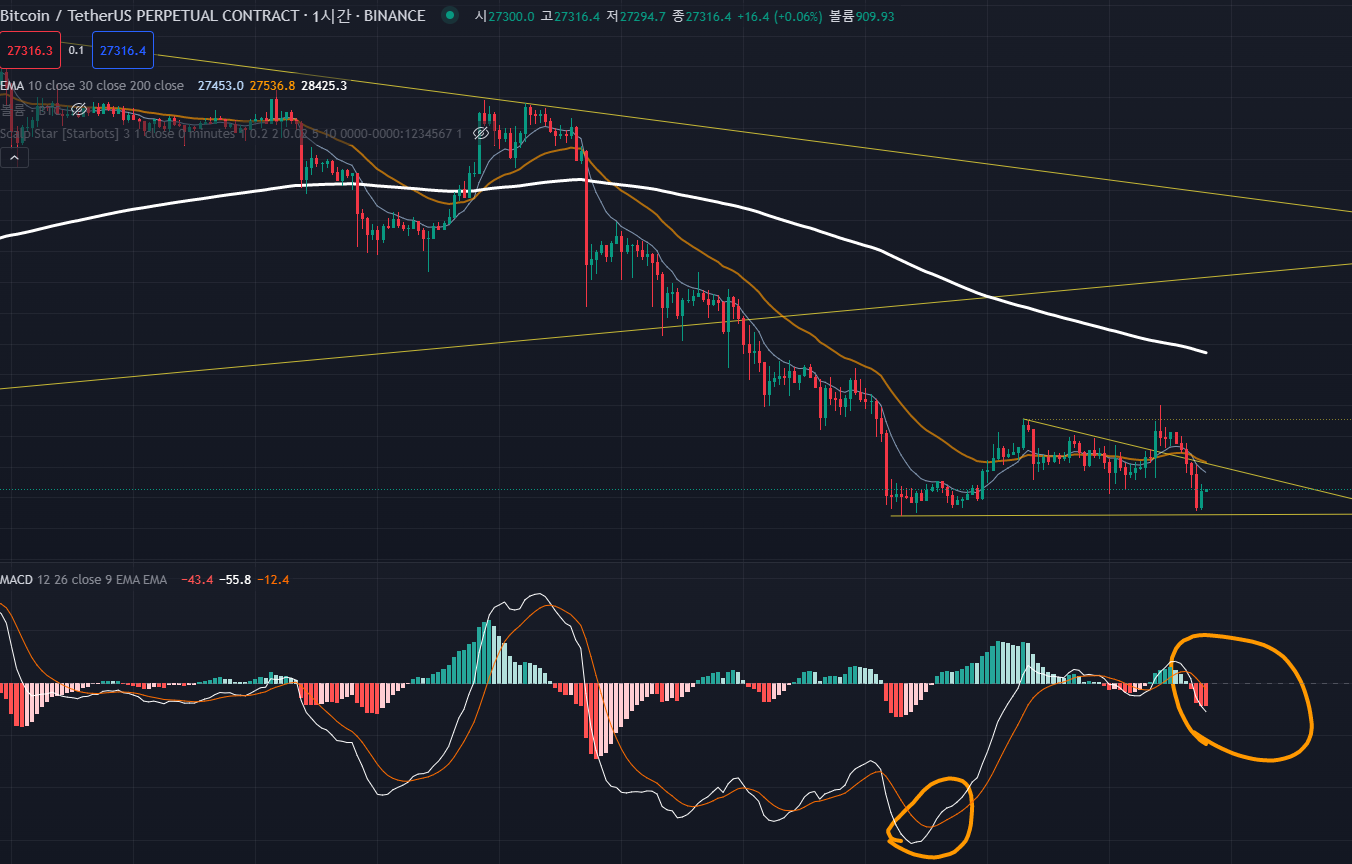 비트코인 여기서 1시간 macd 골크가 나면 - Cobak Coin Community, Cryptocu...